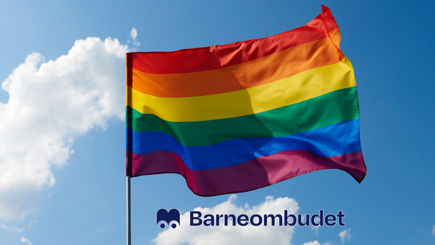 Barneombodet sine råd til rektor: Heis flagget! – Barneombudet