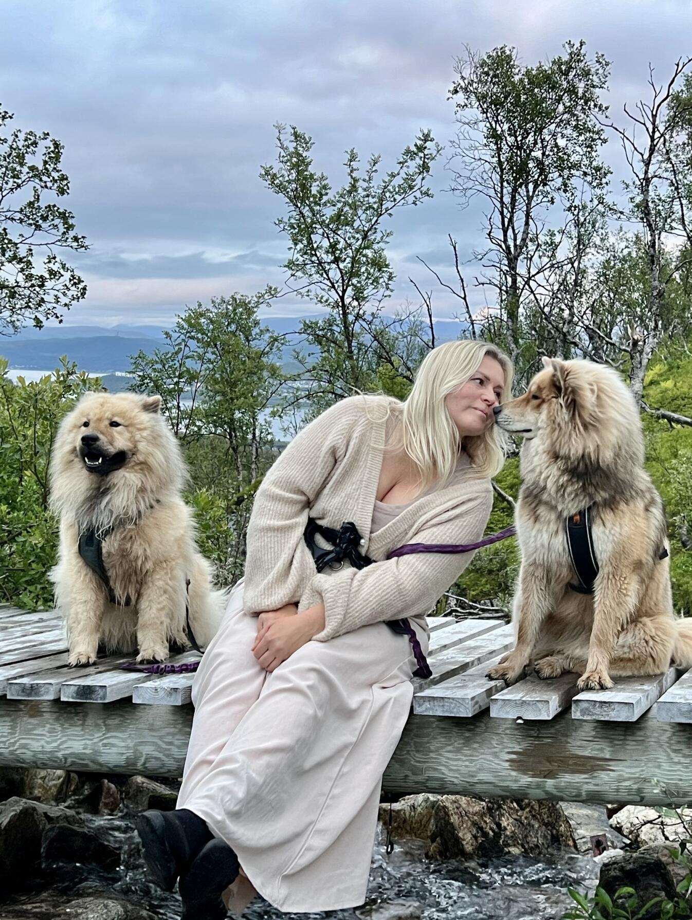 Hunder skal være velkomne på kollektivtransport – Hundesport