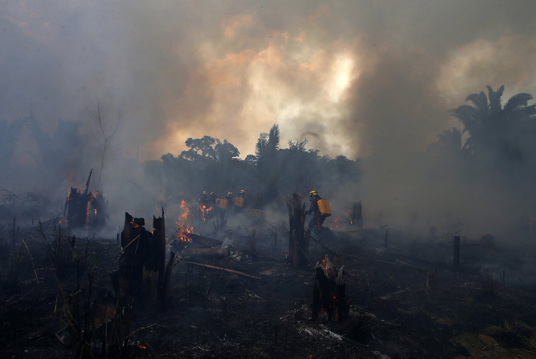 Devastating increase in rainforest loss to forest fires – The ...