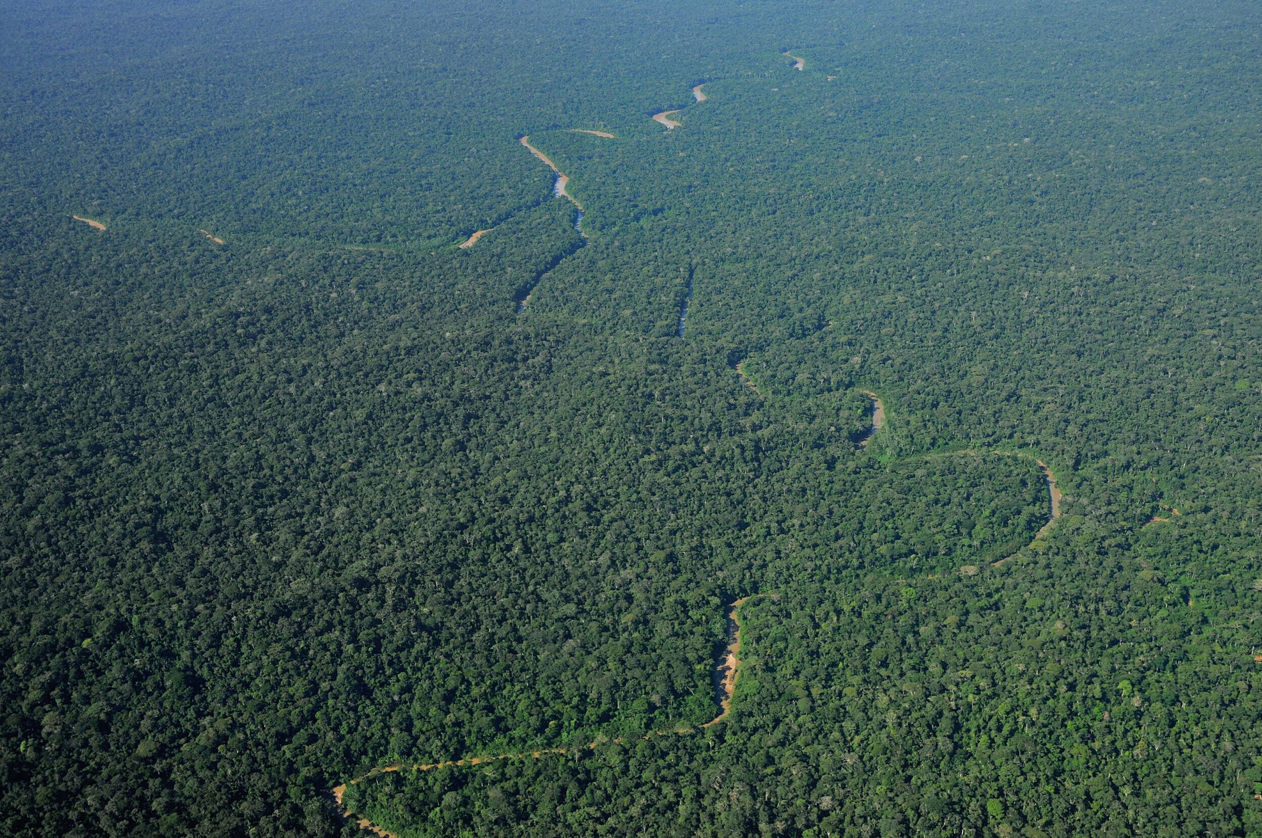 Our solutions: Protecting the home of Indigenous people in voluntary ...