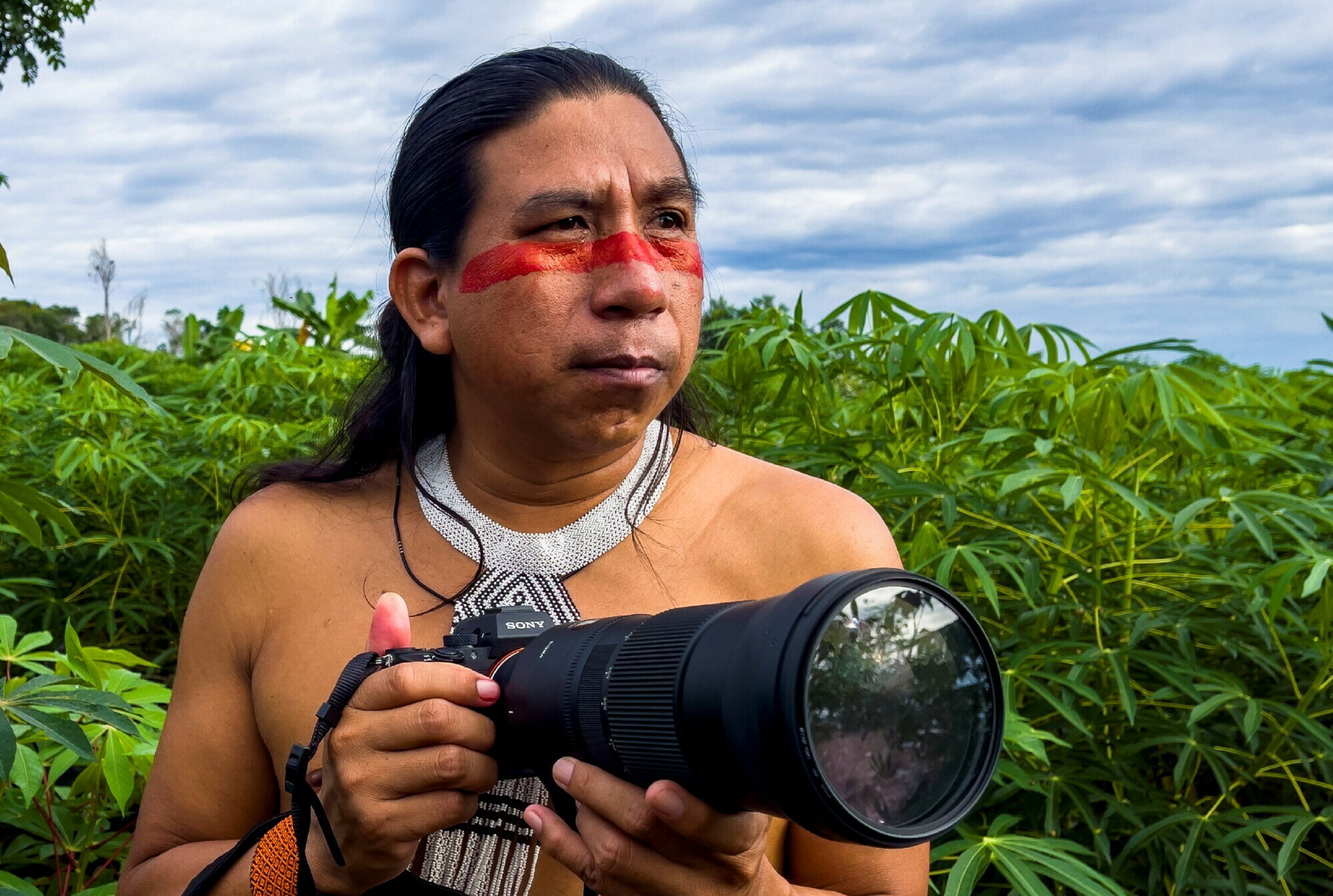 Press room – The Rainforest Foundation