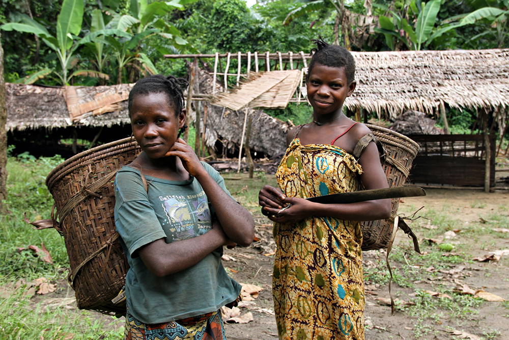 Regnskog landside -DR Kongo – Regnskogfondet