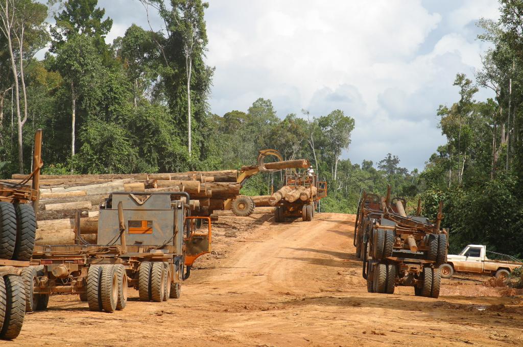 Call for proposals and terms of reference - Supply Chain Mapping of ...