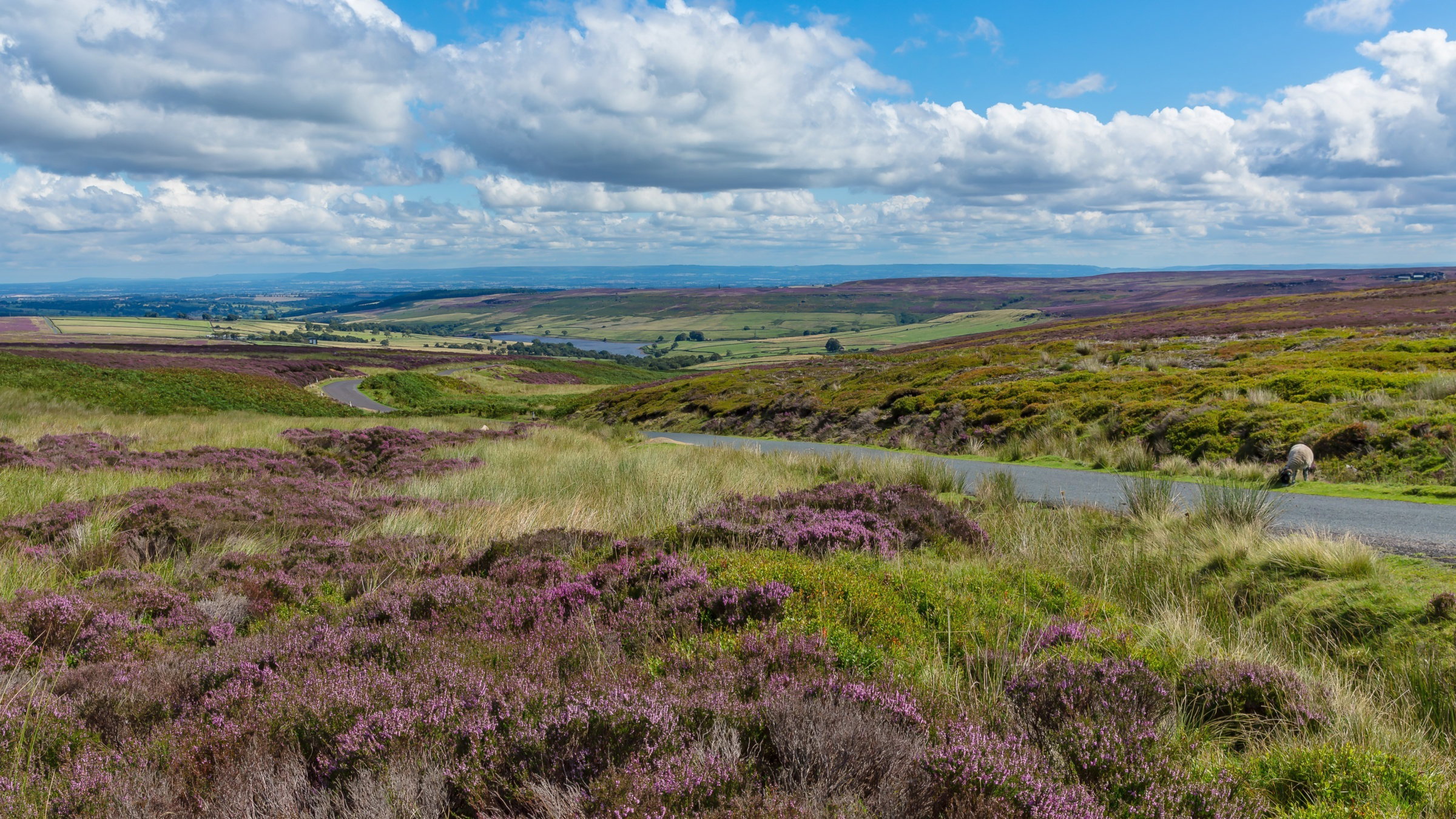 Detailed land cover map for all of Great Britain – Scalgo