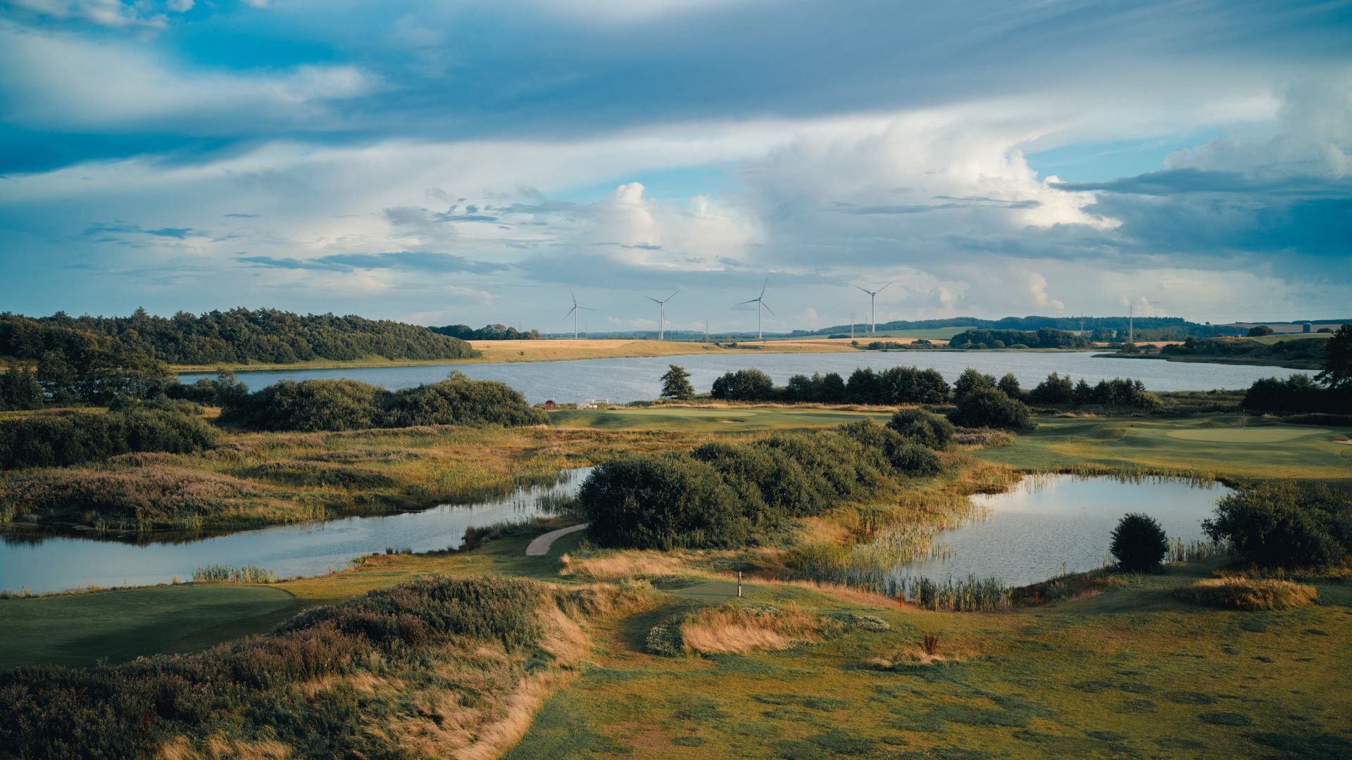 Rewilding and restoring Danish landscapes – Scalgo